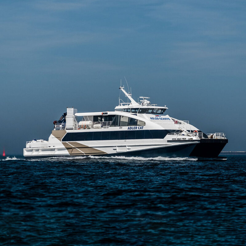 Adler Cat - Fjellstrand