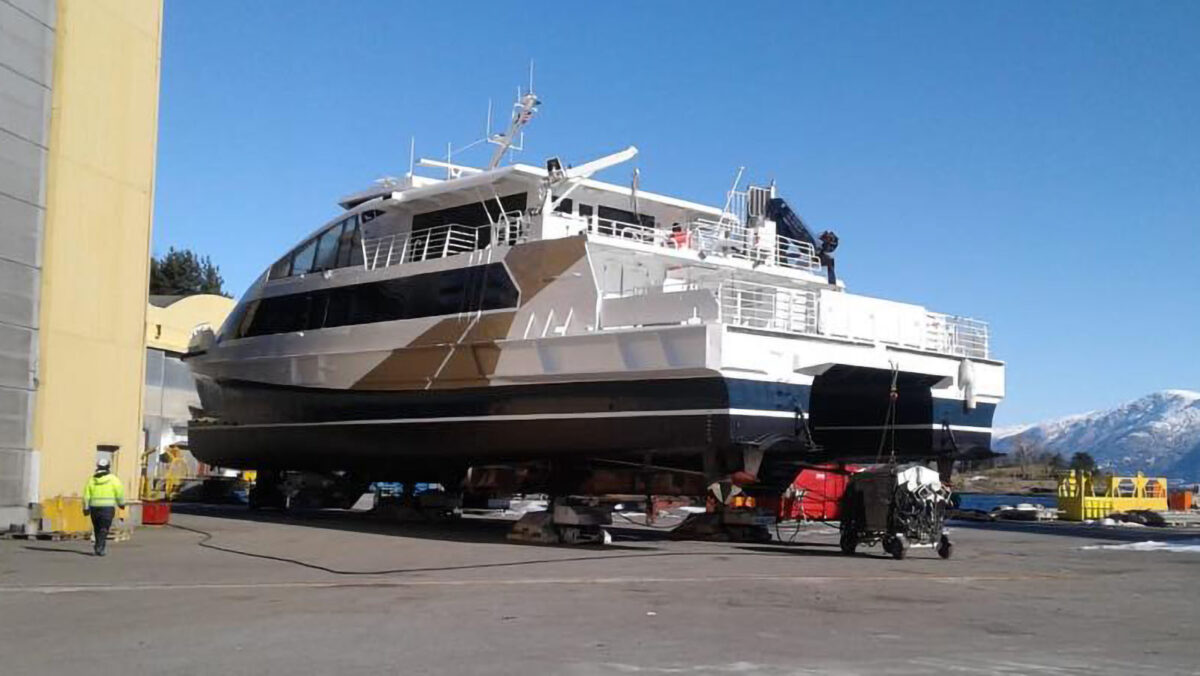 Adler Cat - Fjellstrand